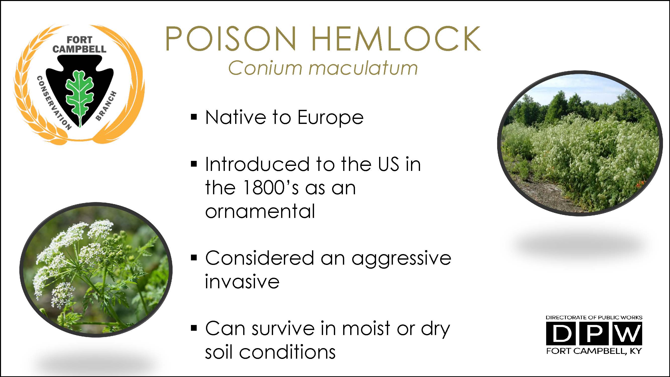 Safety - Fort Campbell - iSportsman